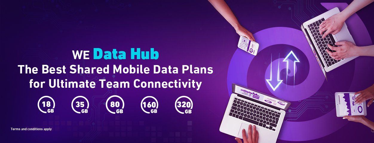 WE Data Hub